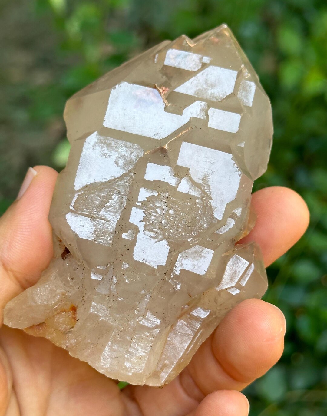 Elestial Himalayan Quartz Castle Crystal Point/scepter Crystal Cluster ...