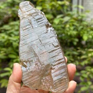 Rare Elestial Tabular Nirvana Smokey Quartz Crystal/natural Step Shape ...