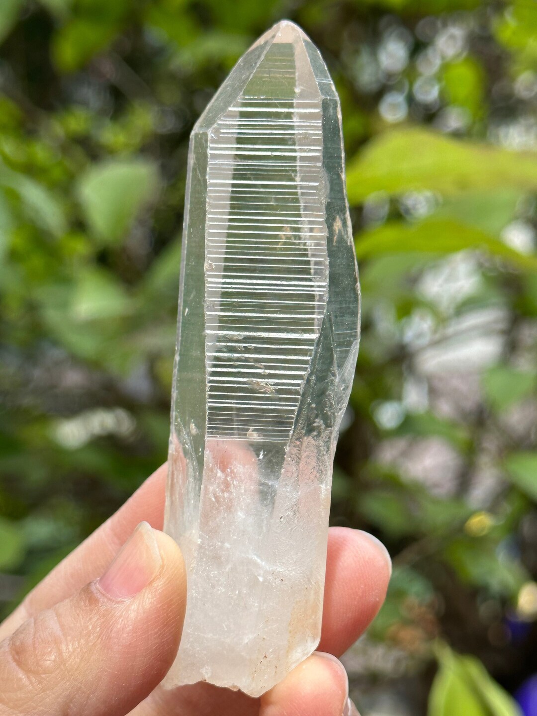 Perfect Clear Lemurian Seed Quartz Crystal-record-keeper/receiver ...
