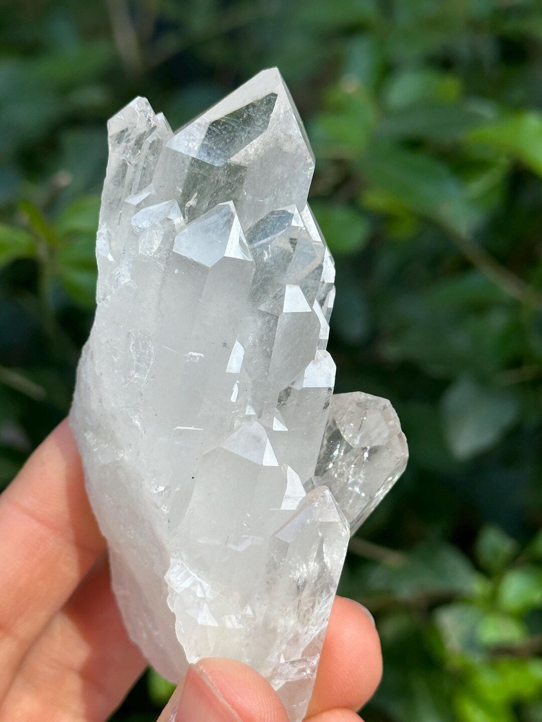 Shining Himalayan Elestial Quartz Castle Crystal Point/scepter Crystal ...