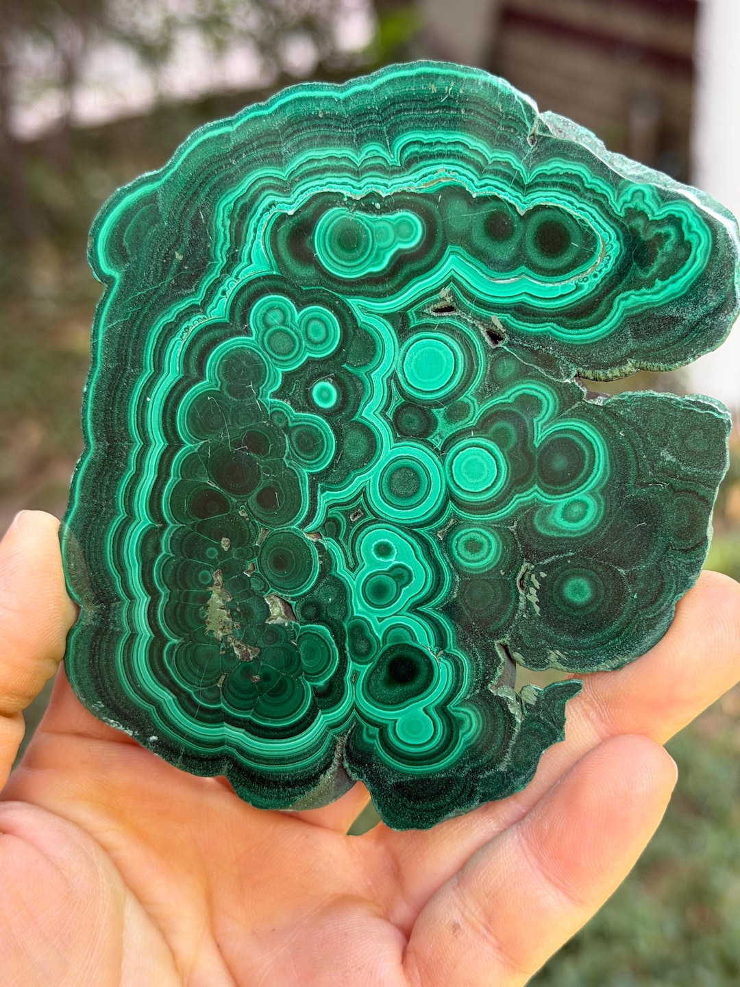 You Pick!best Malachite Slices -polished /healing Crystals/malachite ...