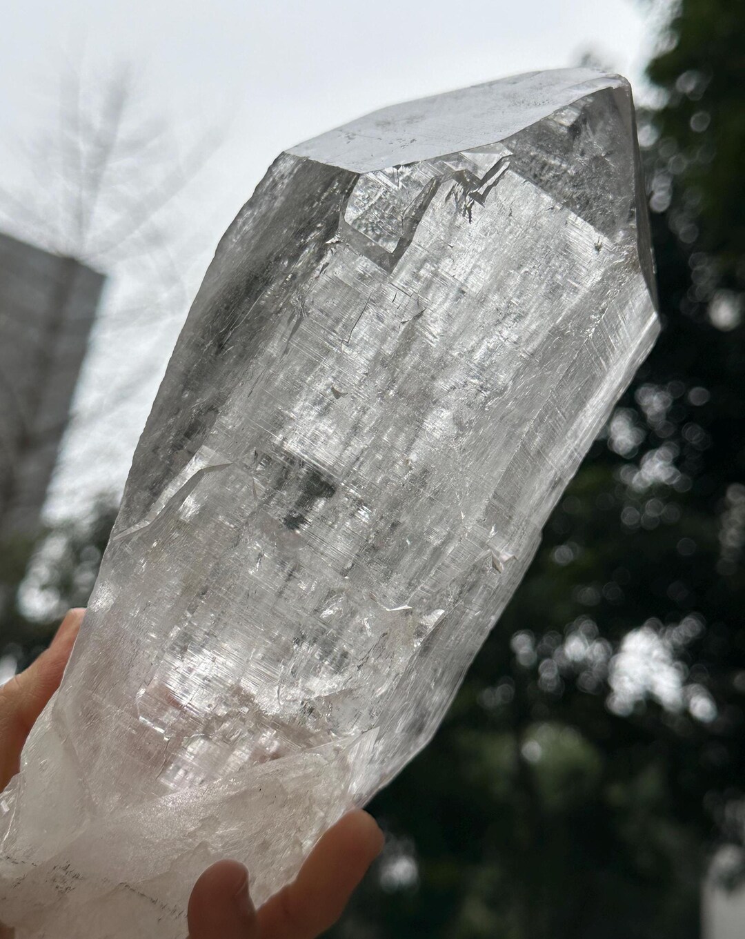 Rare Shining Huge Clear Himalayan Single Spiral Quartz Crystal/record ...
