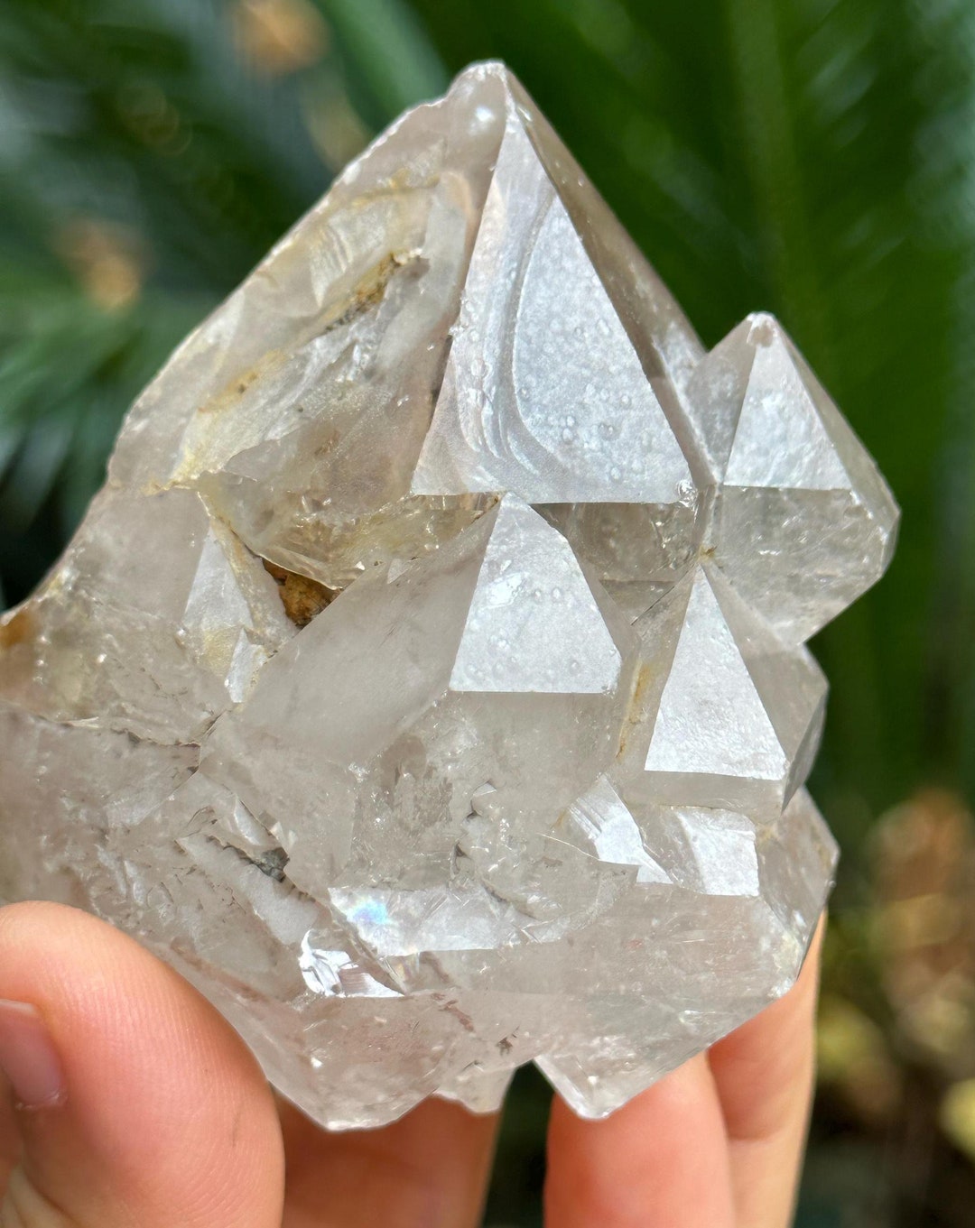 Natural Castle Quartz Scepter Skeletal Crystal/elestial Crystal/energy ...