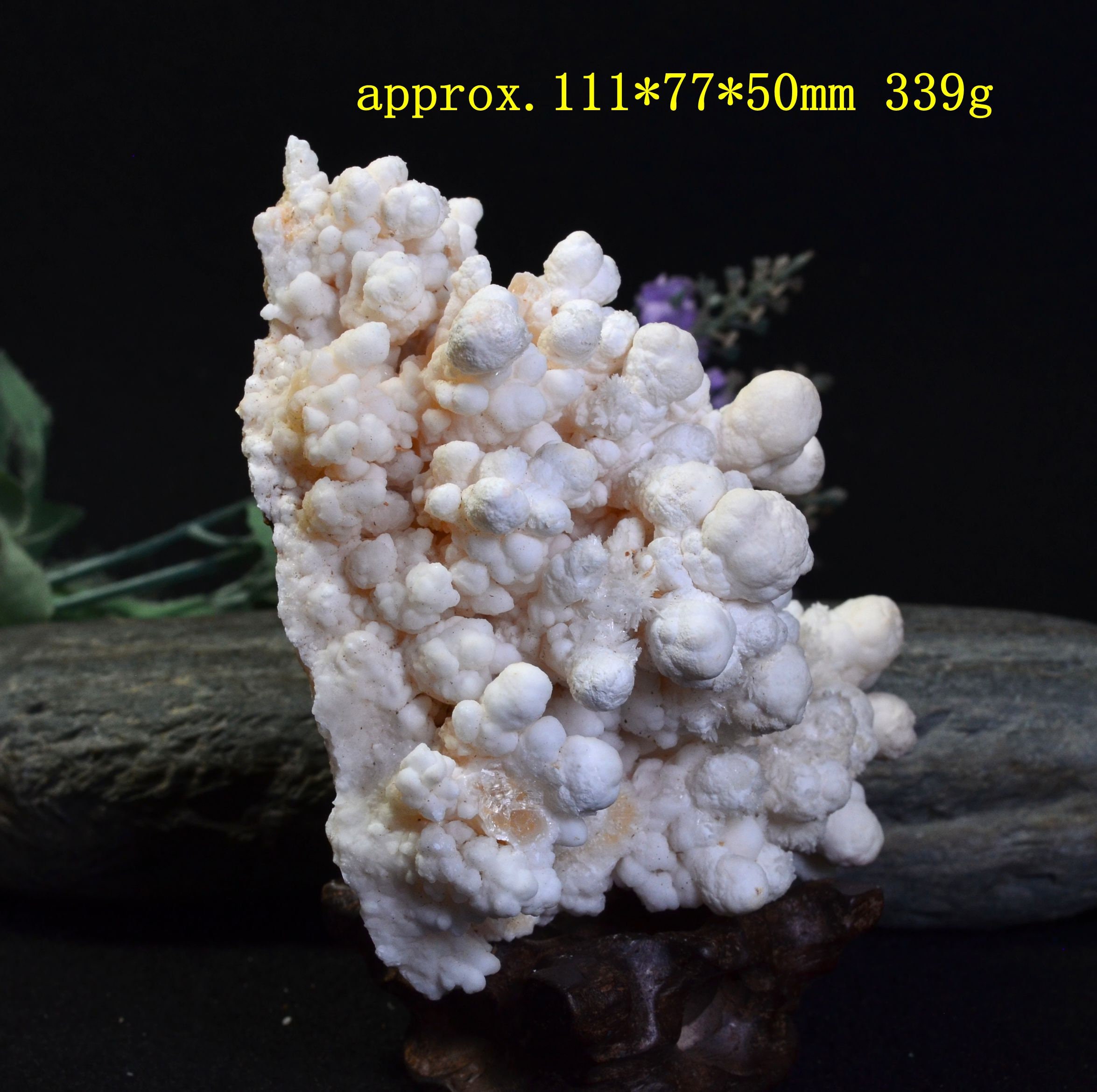 Decorative White Stalactites Nautical Home Decor - Etsy