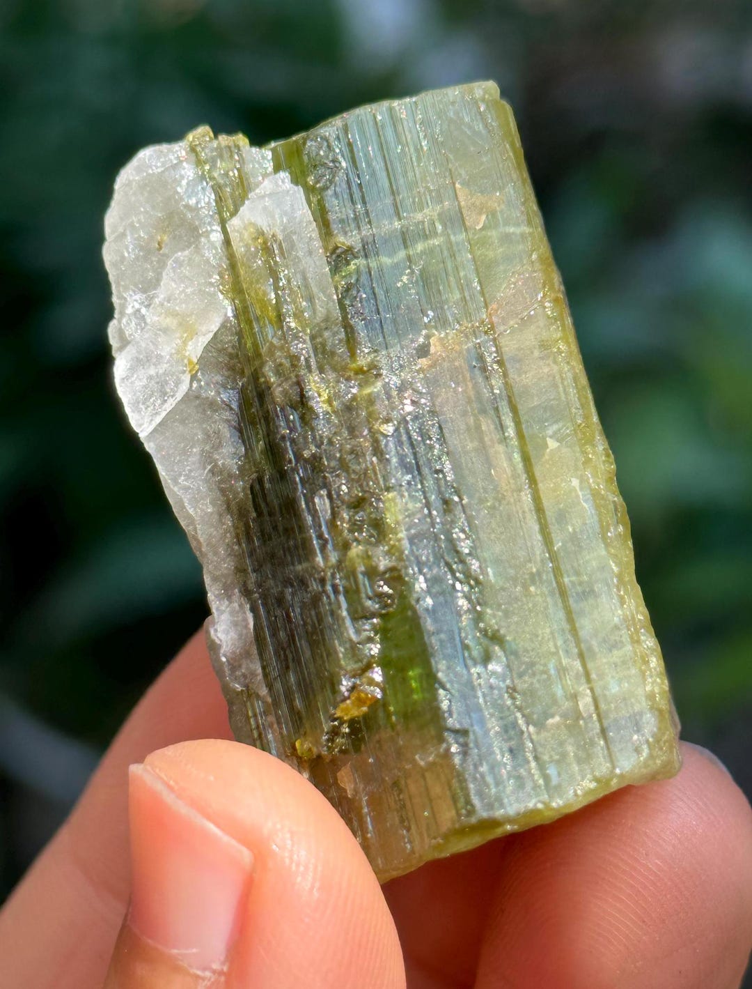 Rare Raw Green Tourmaline Crystal Stone/rough Green Tourmaline Specimen ...