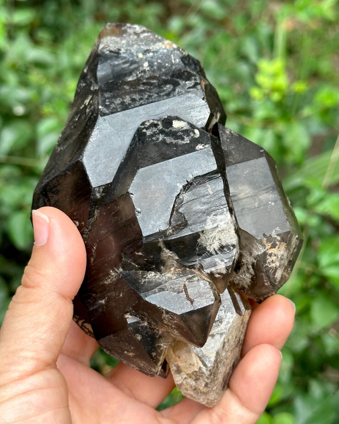 Rare Castle Scepter Smokey Quartz Crystal/black Energy Quartz ...