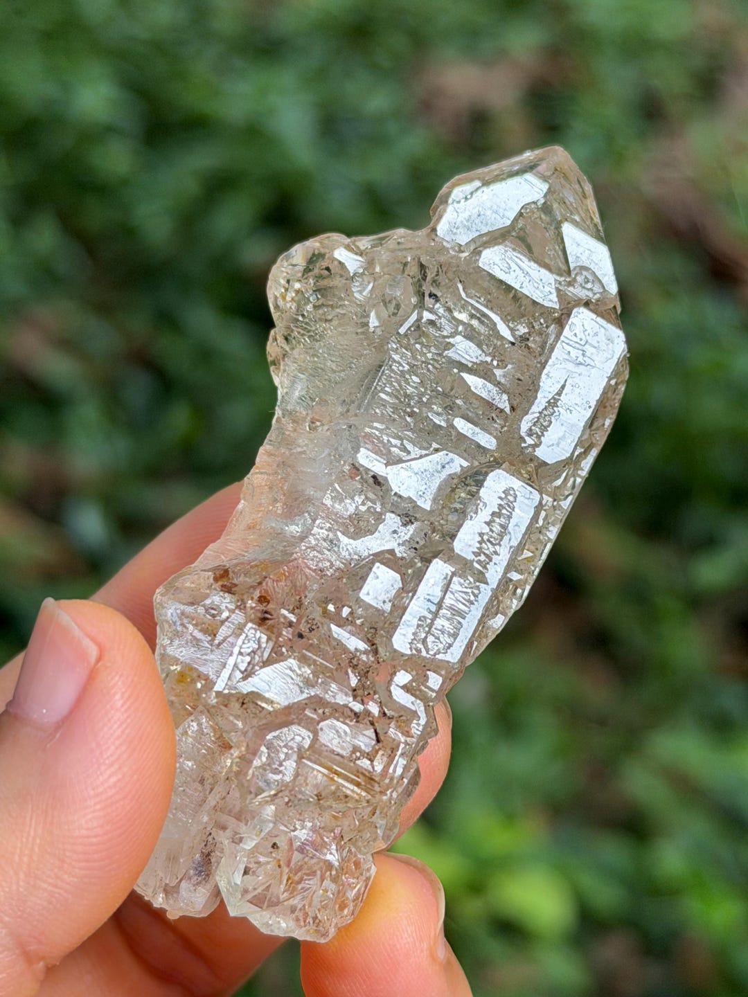 Rare Fenster Fluorescent Enhydro Elestial Skeletal Quartz Scepter ...