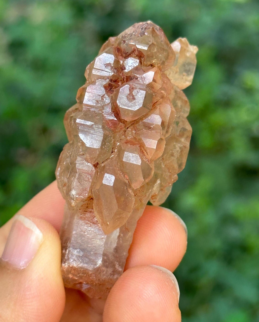 Rare Fenster Fluorescent Enhydro Elestial Skeletal Quartz Scepter ...