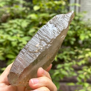 Rare Elestial Tabular Nirvana Smokey Quartz Crystal/natural Step Shape ...