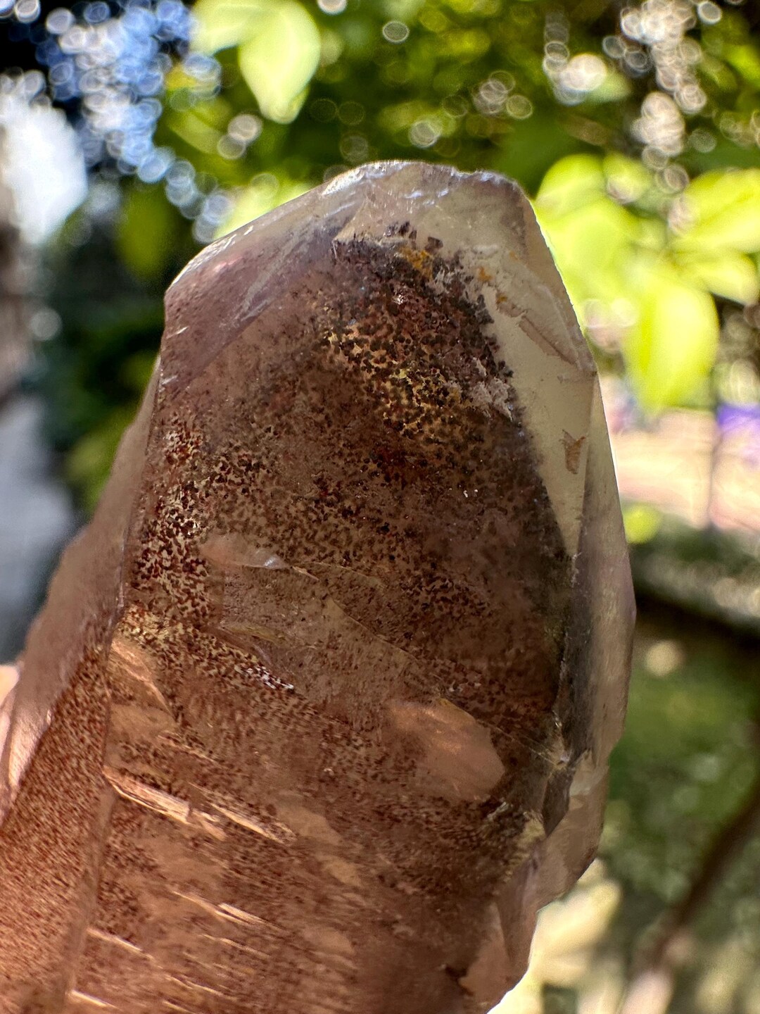 Reserved! Rare Laser Skeletal Strawberry Quartz Crystal/double Crystals ...