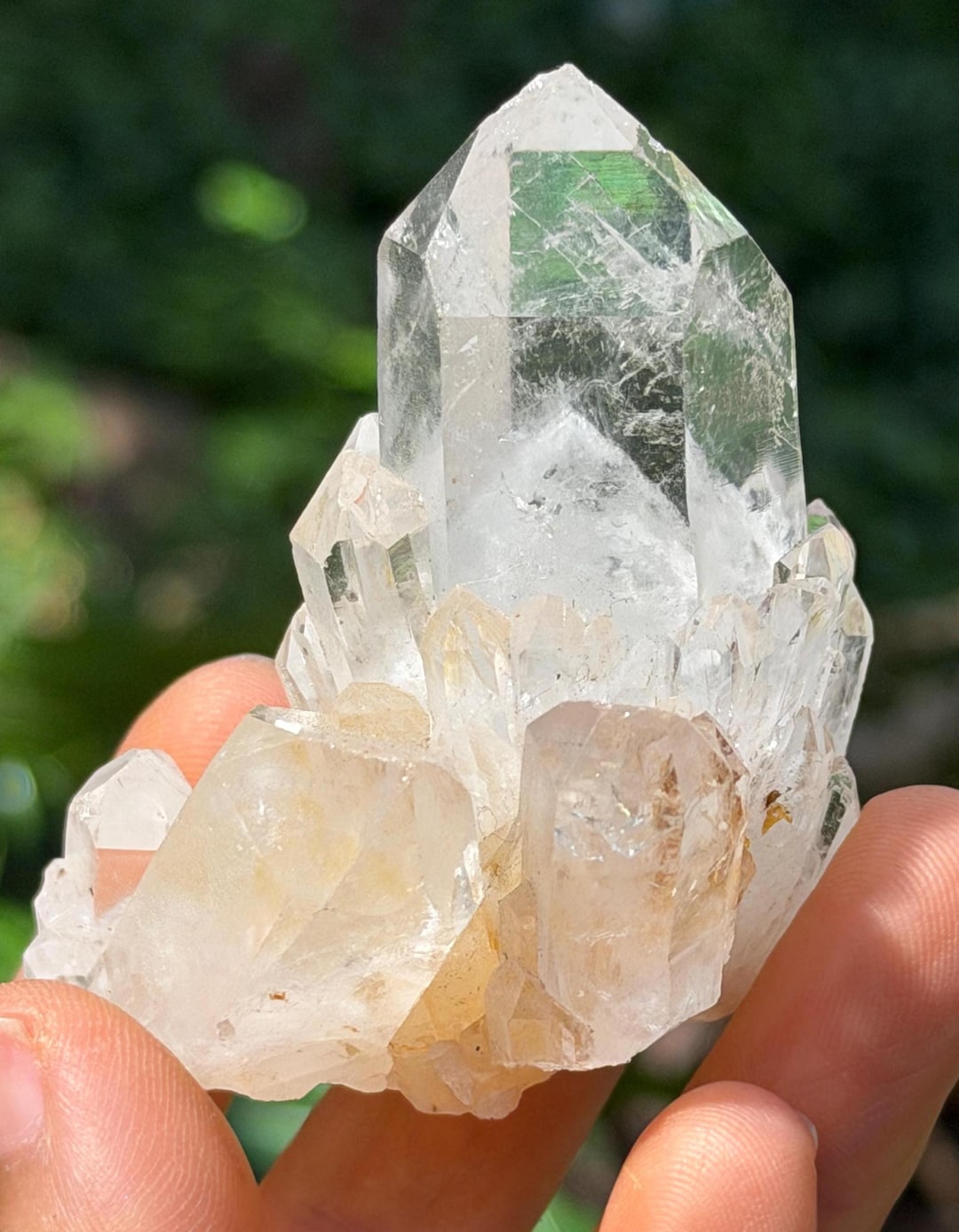 Himalayan the Dow Quartz With Phantom Pyramid Included Quartz Master ...