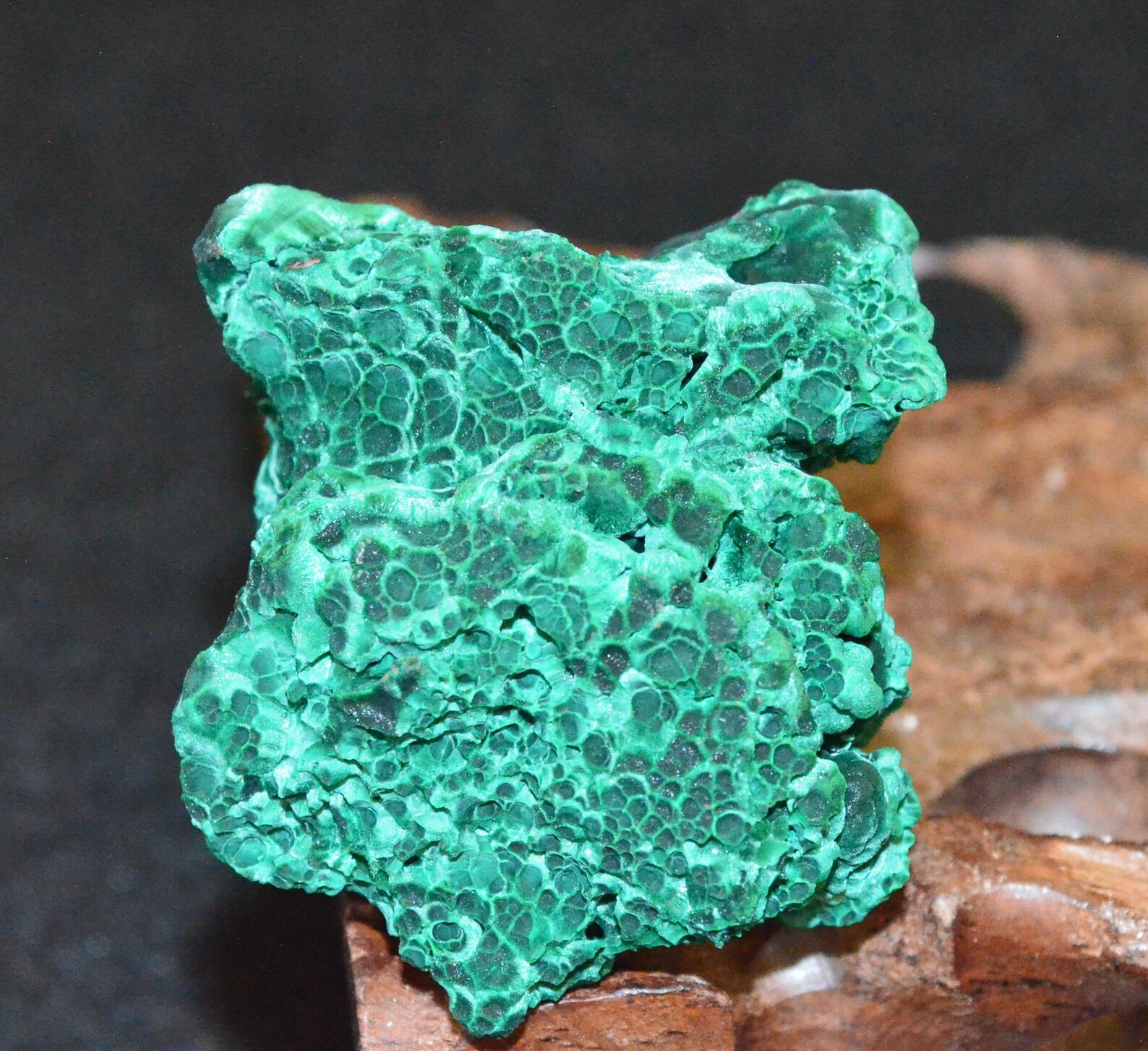 Raw Bubbles Malachite Fibrous/small Malachite Chunks | Etsy