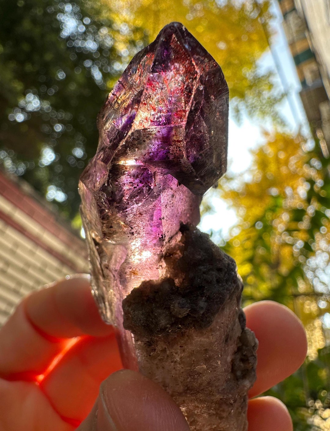 Rare Clear Super 7 Amethyst Quartz Scepter Crystal Point Pyramid ...