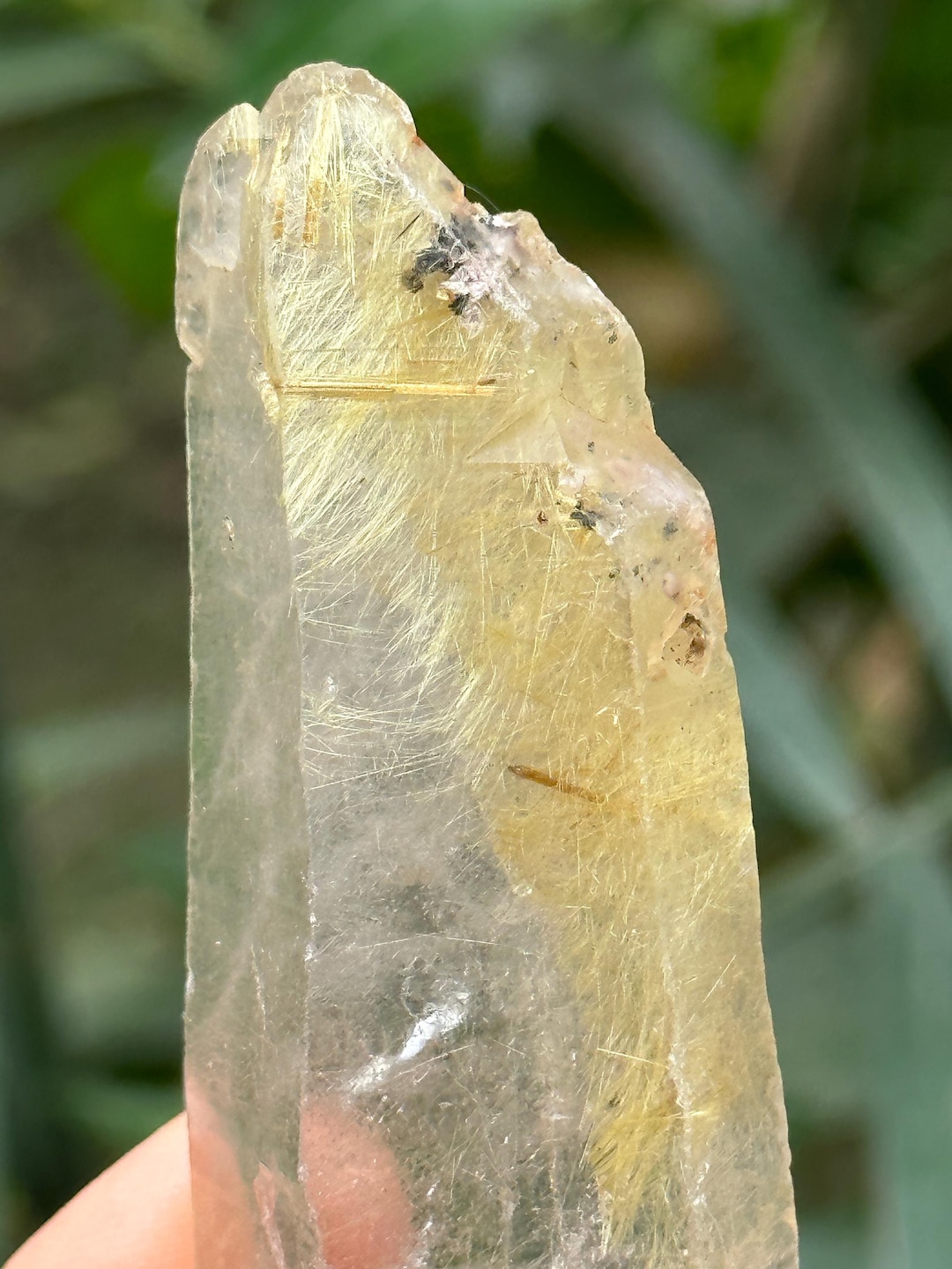 Natural Raw Rutile Quartz Crystal/clear Golden Rutilated Needles ...