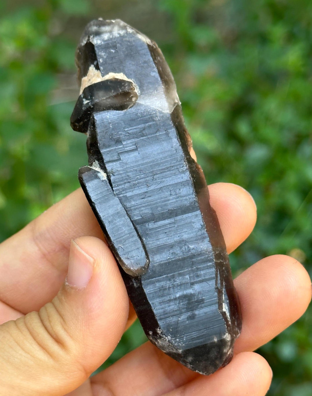 Rare Tabular Double Terminated Black Morion Quartz Crystal Point ...