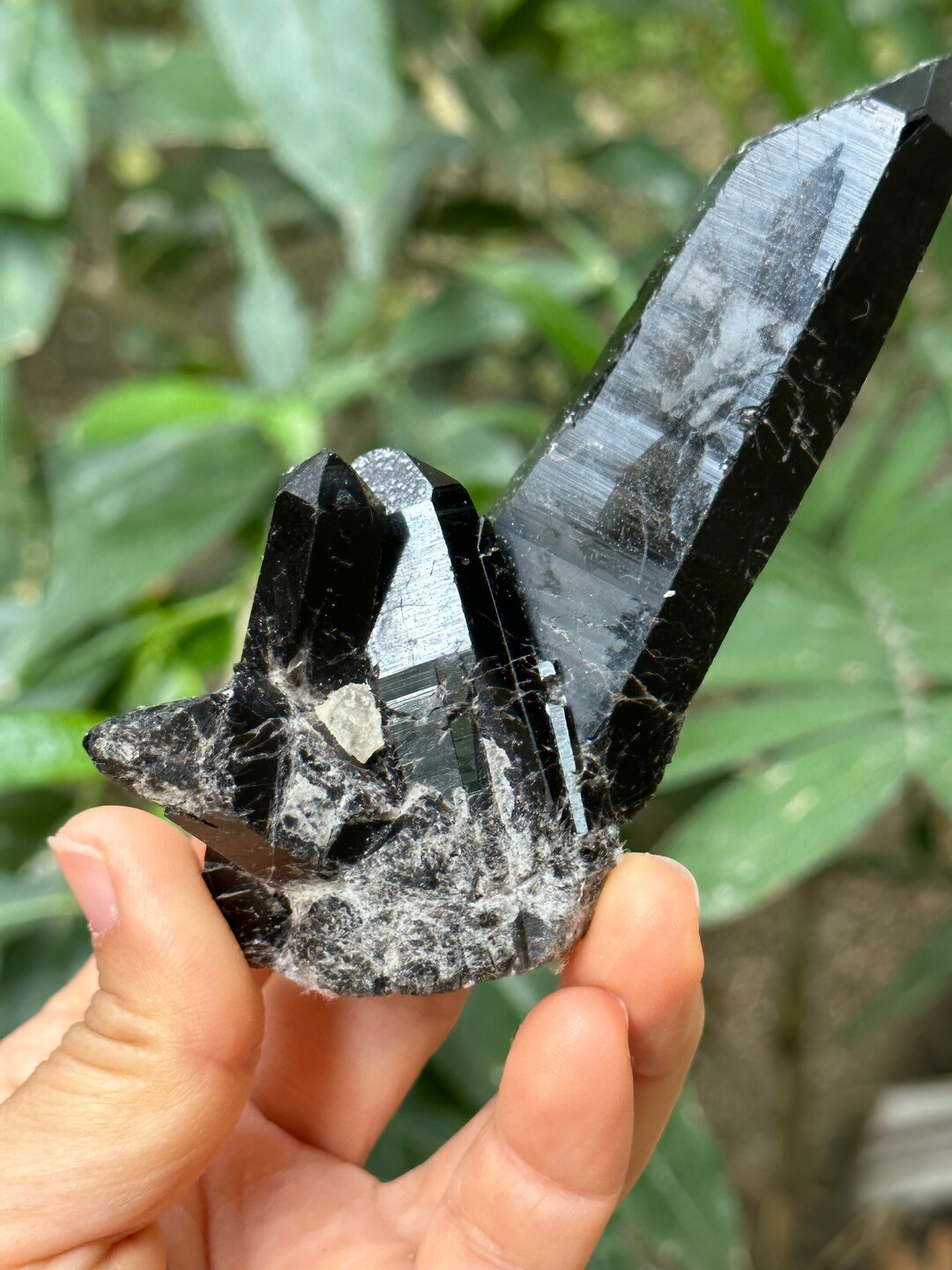 Best Morion Black Quartz Growth Interference Crystal Cluster/rough ...