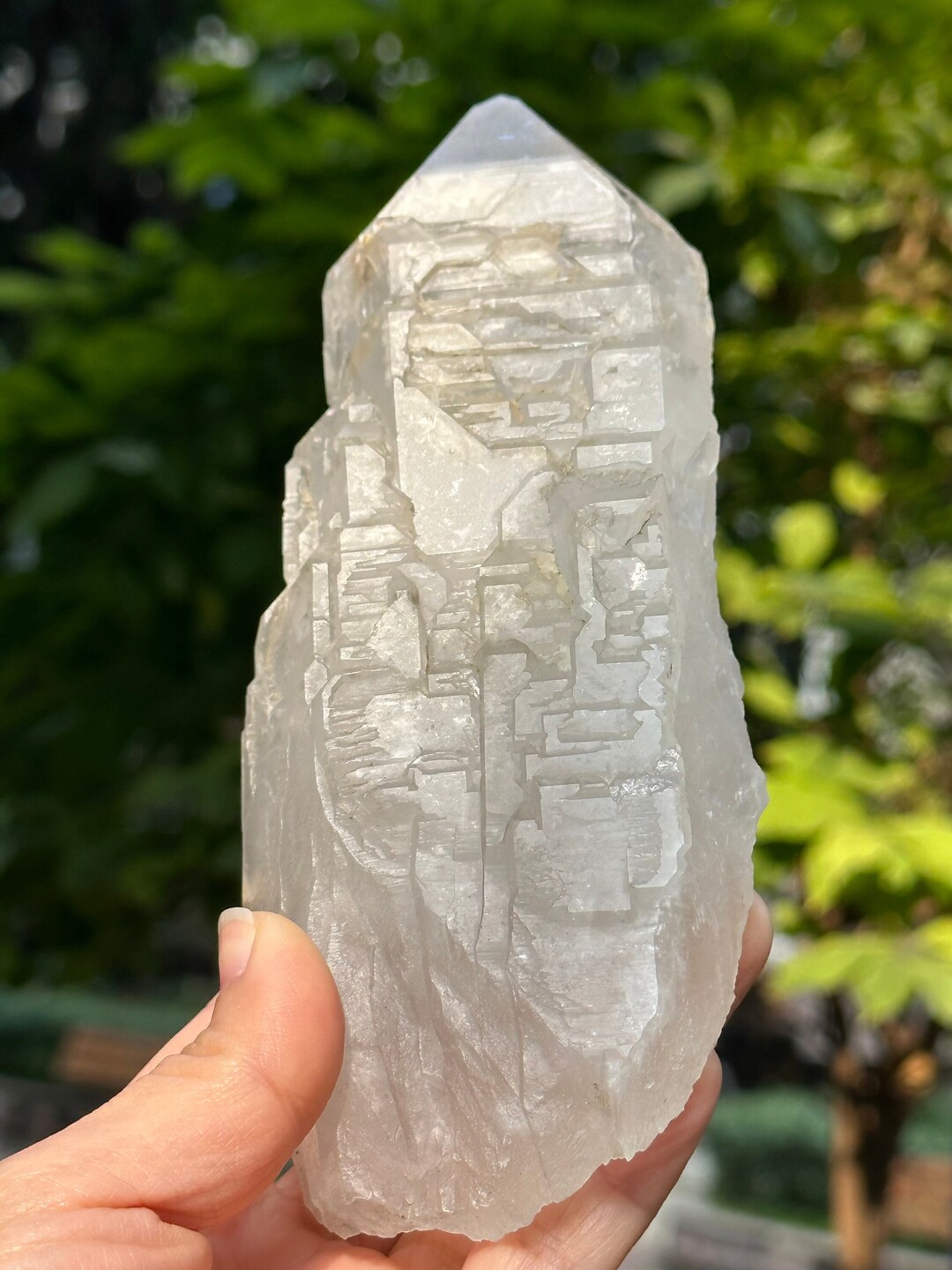 Rare Himalayan Fenster Skeletal Castle Quartz Crystal Point/abundance ...