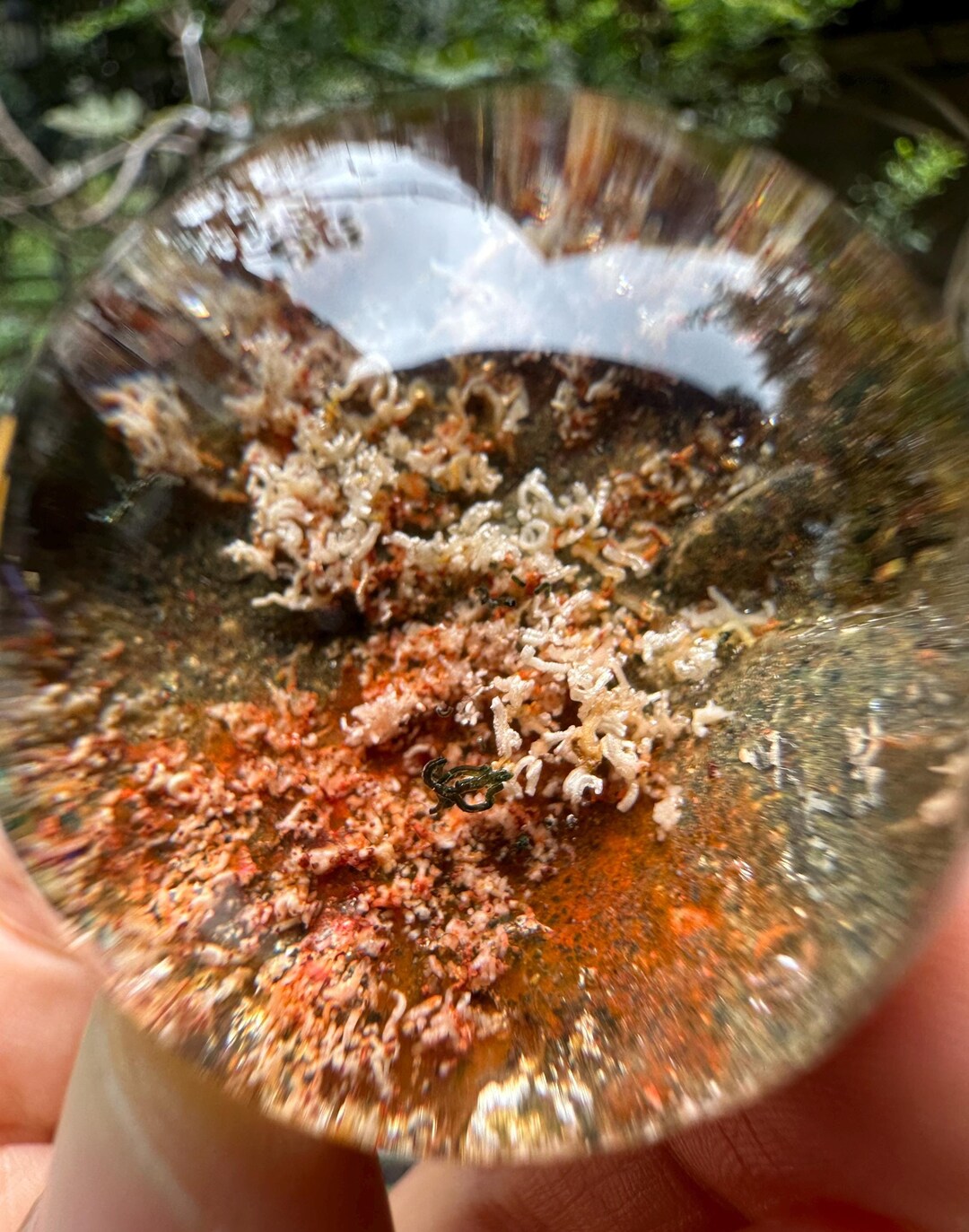 Natural Clear Colorful Phantom Quartz Crystal Sphere/chlorite Inclusion ...