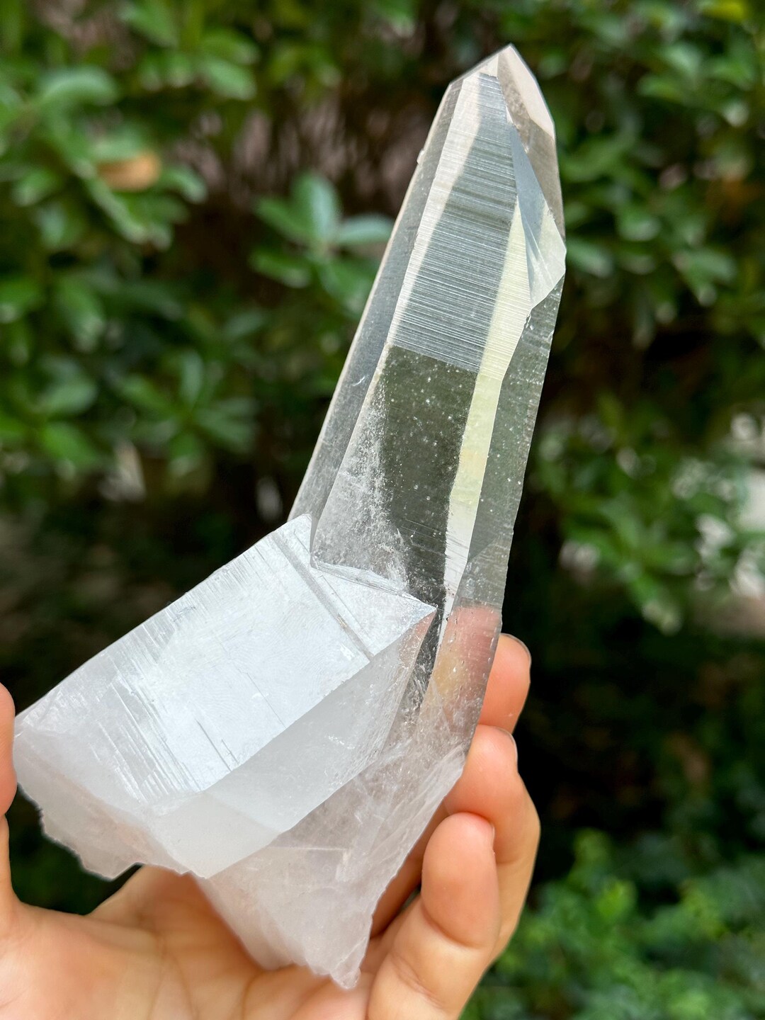 Brazil Lemurian Seeds Muzo Quartz Crystal Blue Angel's Feather Included ...
