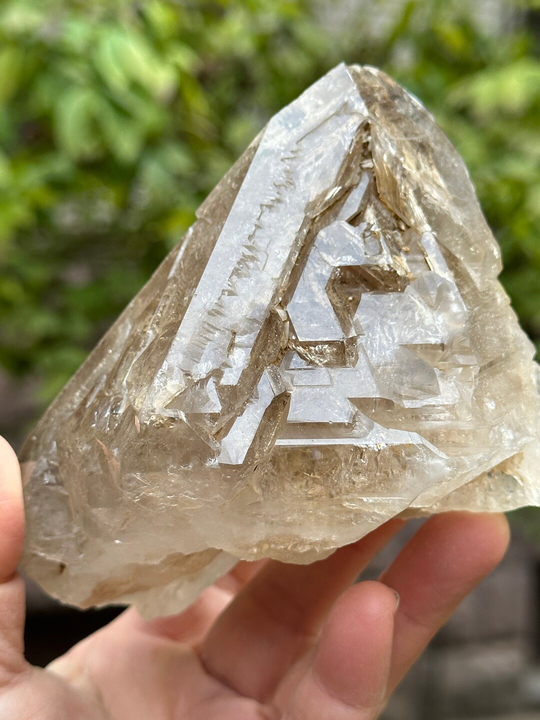 Rare Large Skeletal Window Quartz Crystal ,fenster Crystal/energy ...