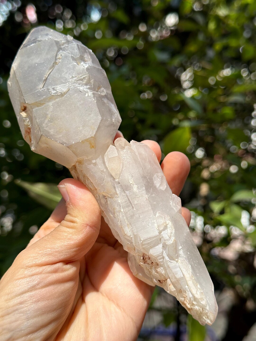 Rare Double Terminated Scepter Quartz Crystal/energy Quartz/meditation ...