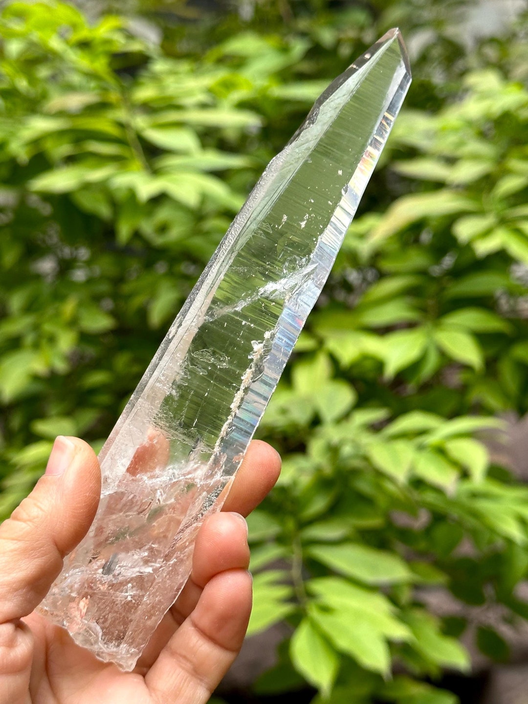 7" Long Perfect Clear Starbrary Laser Muzo Lemurian Seeds Quartz Blue ...
