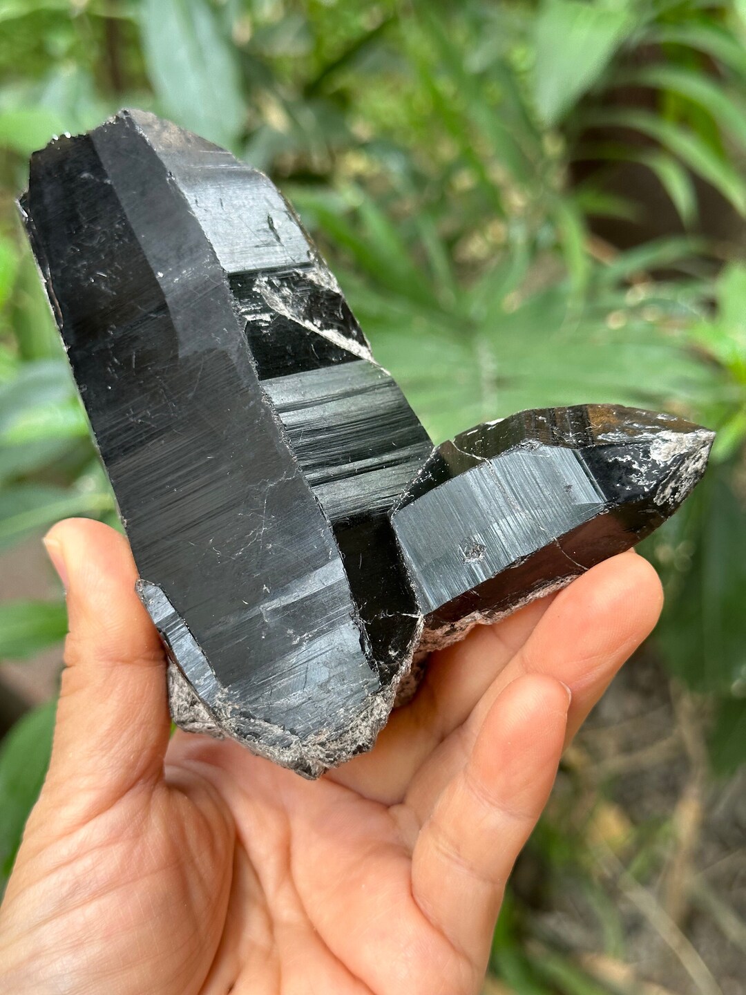 Best Morion Black Quartz Bridge Crystal Cluster/rough Black Crystal ...