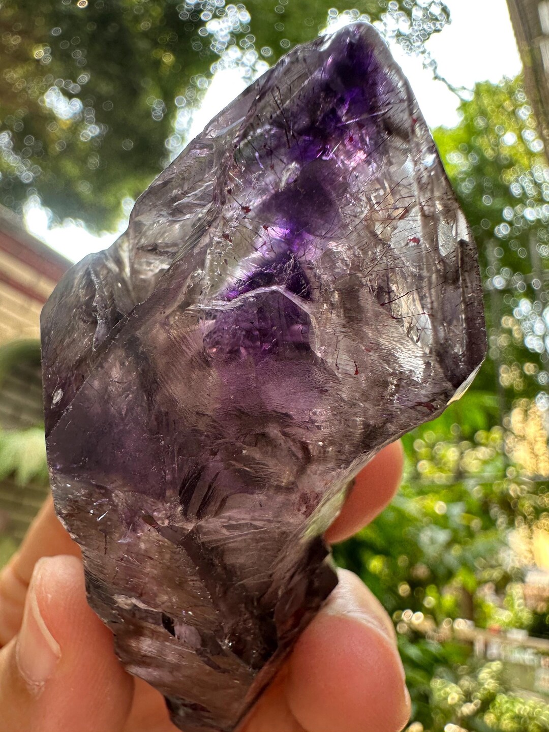 Rare Skeletal Super 7 Amethyst Quartz Scepter Crystal Point/specimen ...
