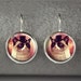 Grumpy Cat Earrings, Grumpy Cat Jewelry, Grumpy Cat Accessories - Etsy