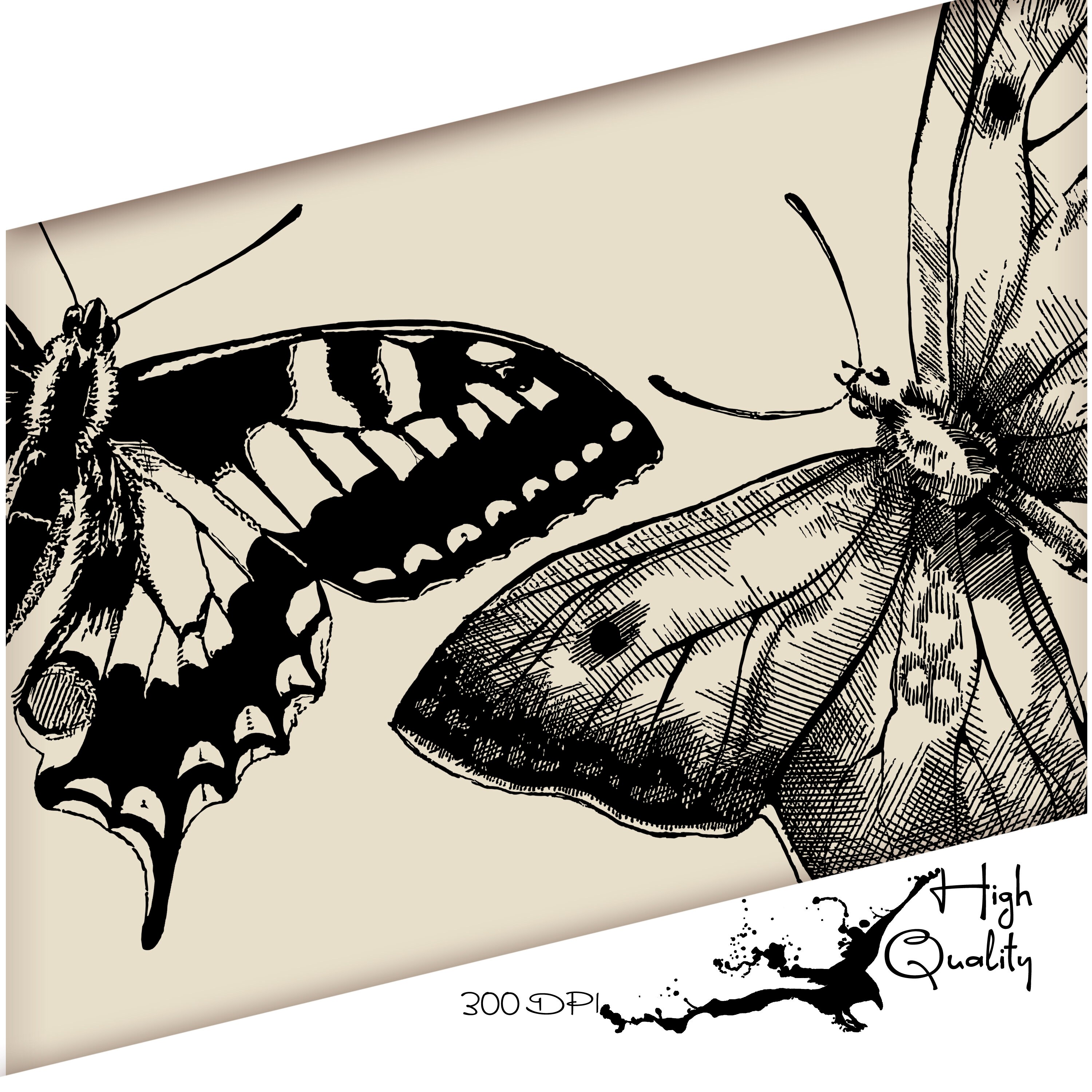 Butterflys Calligraphy Design Elements/ Digital Clipart/ | Etsy