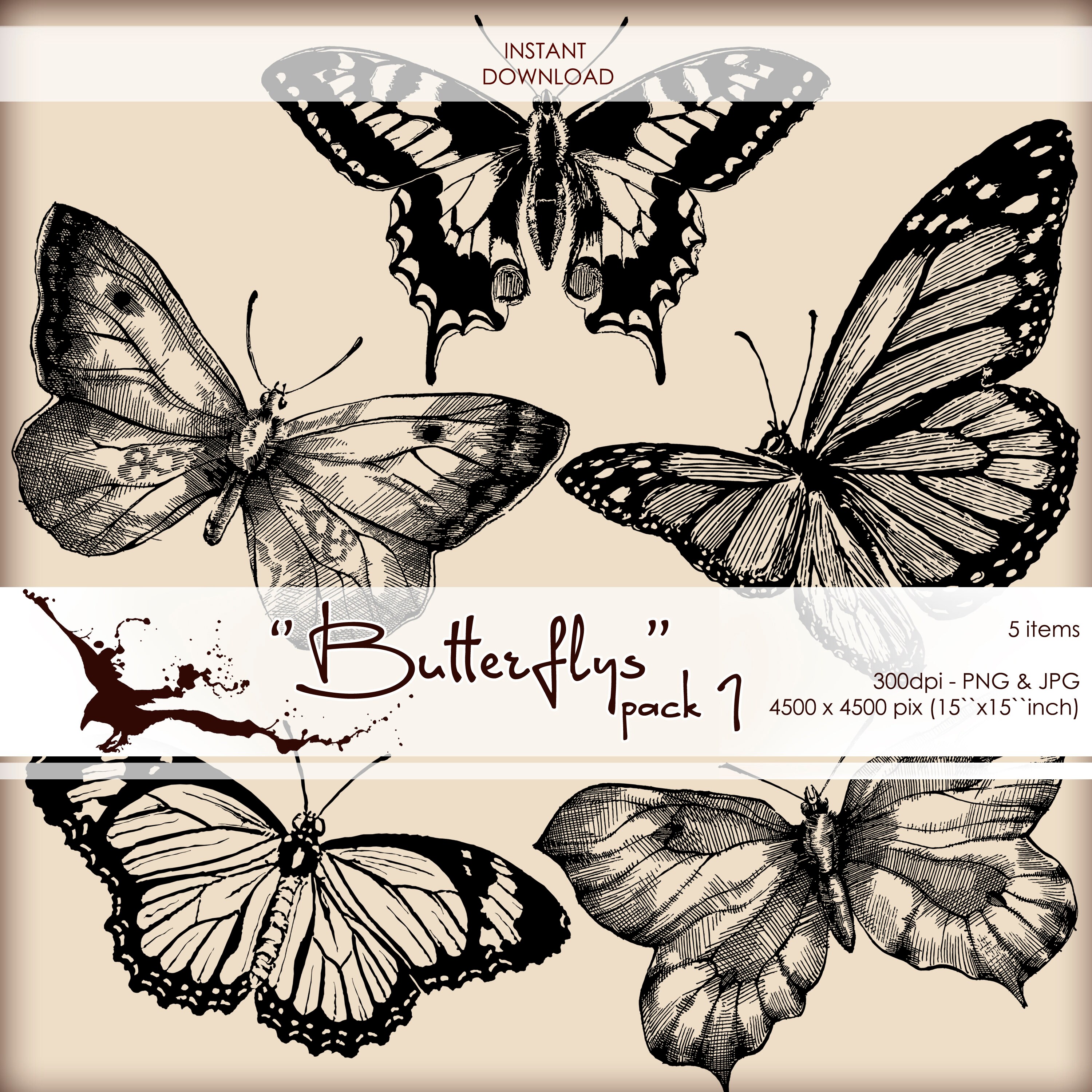 Butterflys Calligraphy Design Elements/ Digital Clipart/ | Etsy