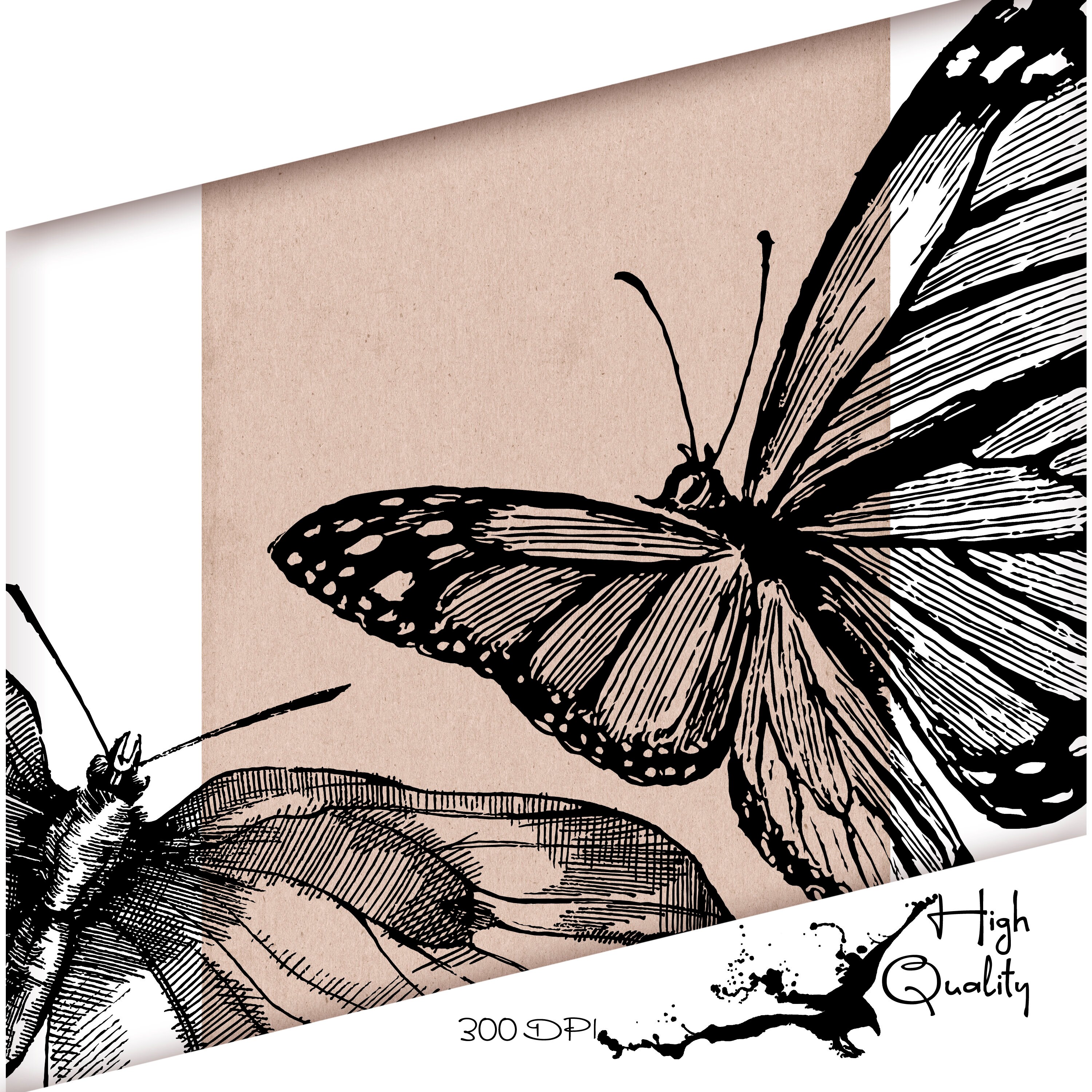 Butterflys Calligraphy Design Elements/ Digital Clipart/ | Etsy