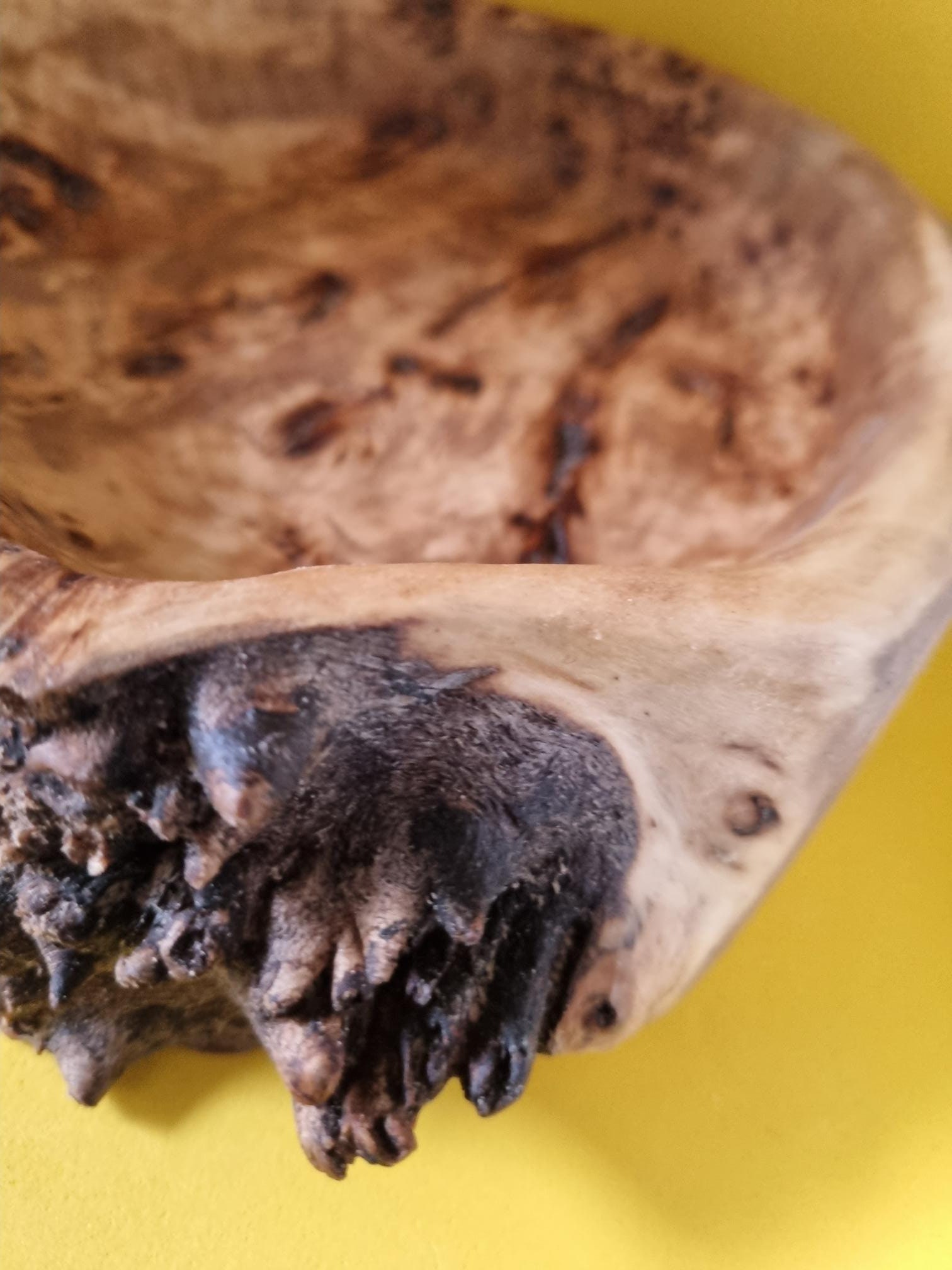 Rustic Tulip Wood Burr Natural Live Edge Bowl Decorative Bespoke ...