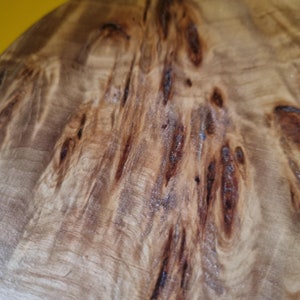Rustic Tulip Wood Burr Natural Live Edge Bowl Decorative Bespoke ...