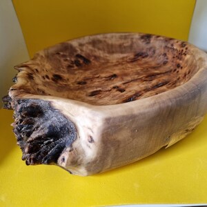 Rustic Tulip Wood Burr Natural Live Edge Bowl Decorative Bespoke ...