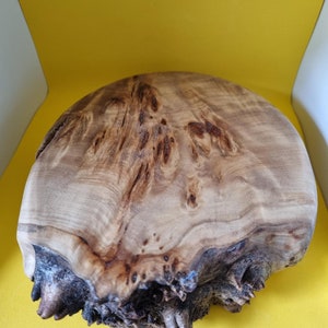 Rustic Tulip Wood Burr Natural Live Edge Bowl Decorative Bespoke ...