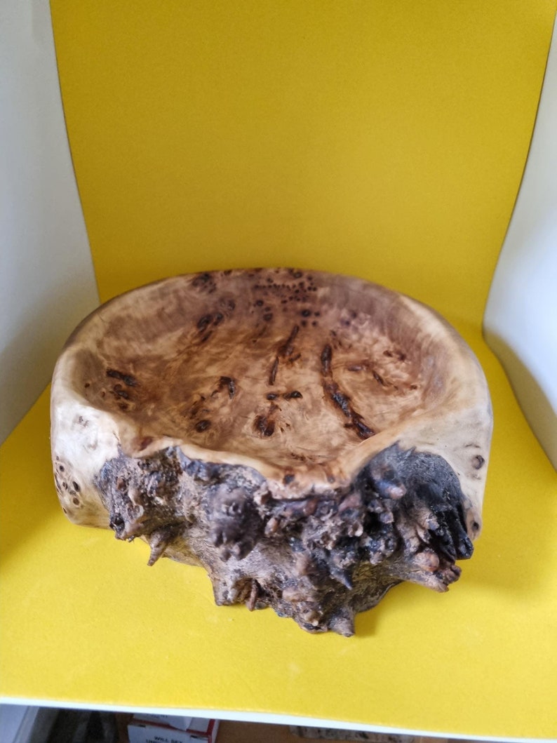 Rustic Tulip Wood Burr Natural Live Edge Bowl Decorative Bespoke ...