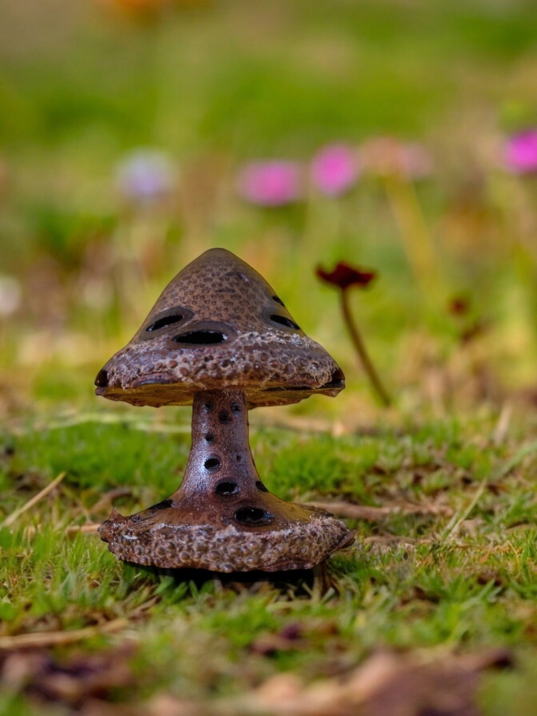 Rustic Banksia Nut Australian Turned Mushroom Ornamental Decoration ...