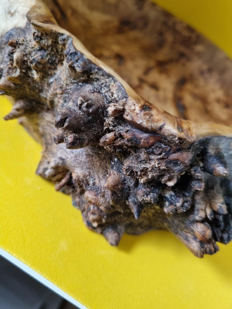 Rustic Tulip Wood Burr Natural Live Edge Bowl Decorative Bespoke ...