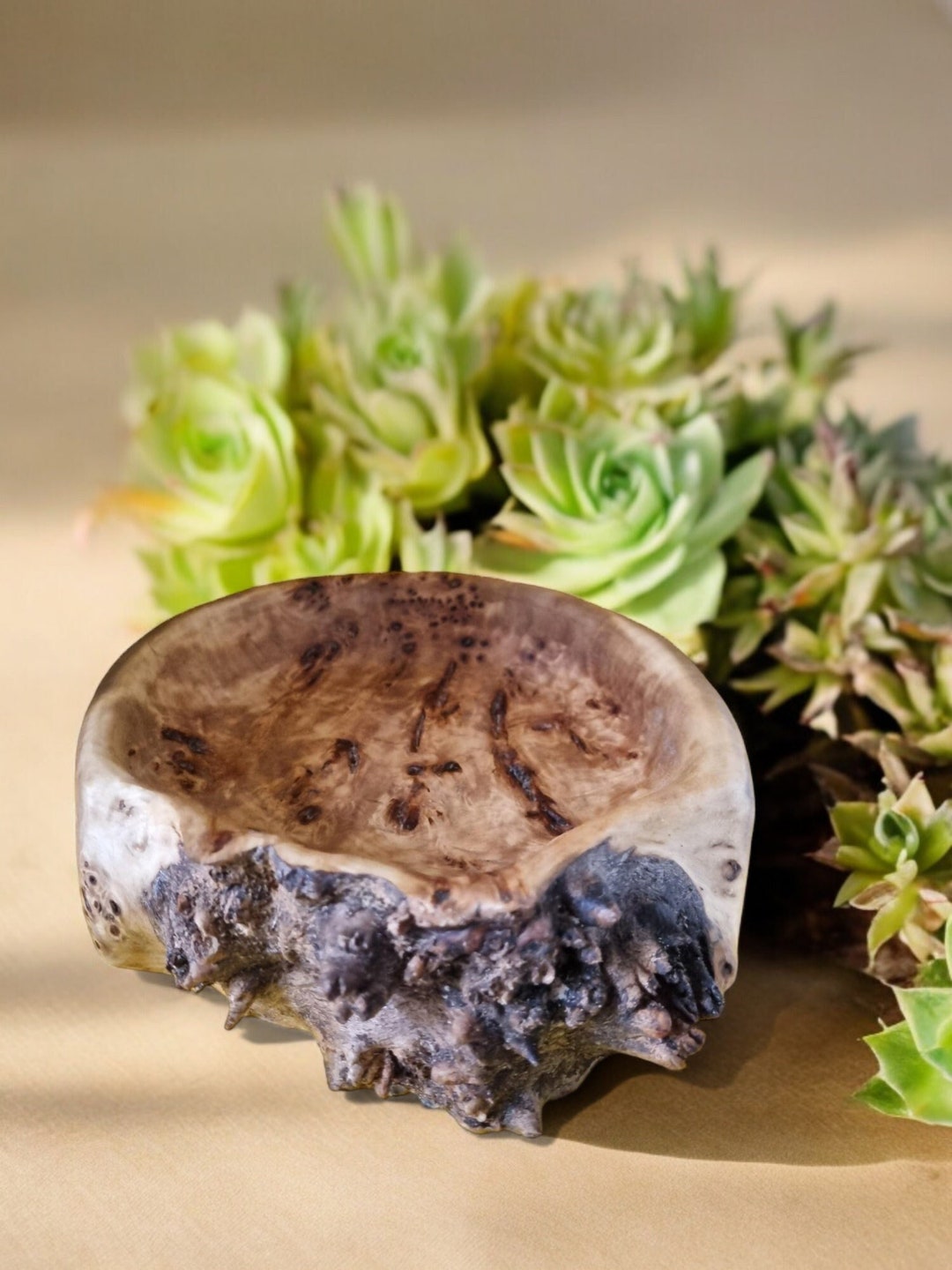 Rustic Tulip Wood Burr Natural Live Edge Bowl Decorative Bespoke ...