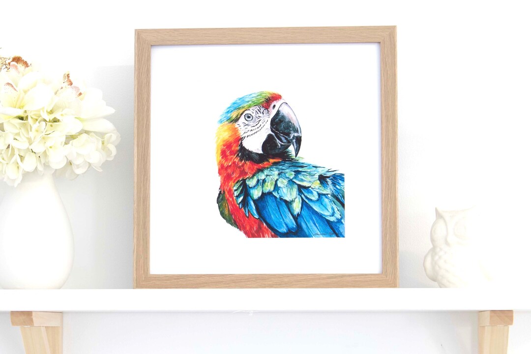Macaw, Macaw Painting, Macaw Art Print, Catalina Macaw, Macaw Decor ...