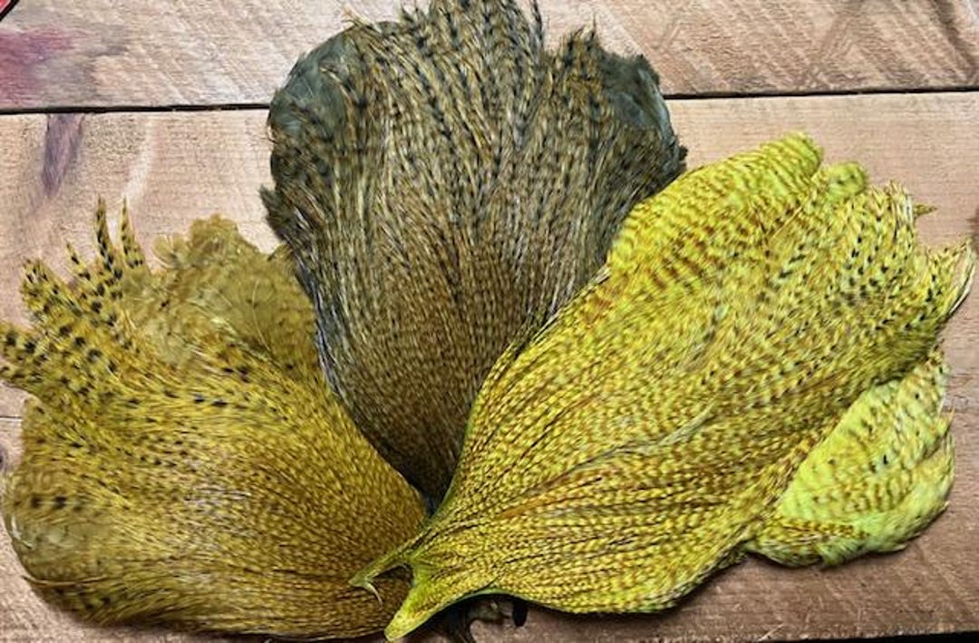 Mike's Goby and Sculpin Capes: Dyed Over Ginger Variant Metz Magnum ...