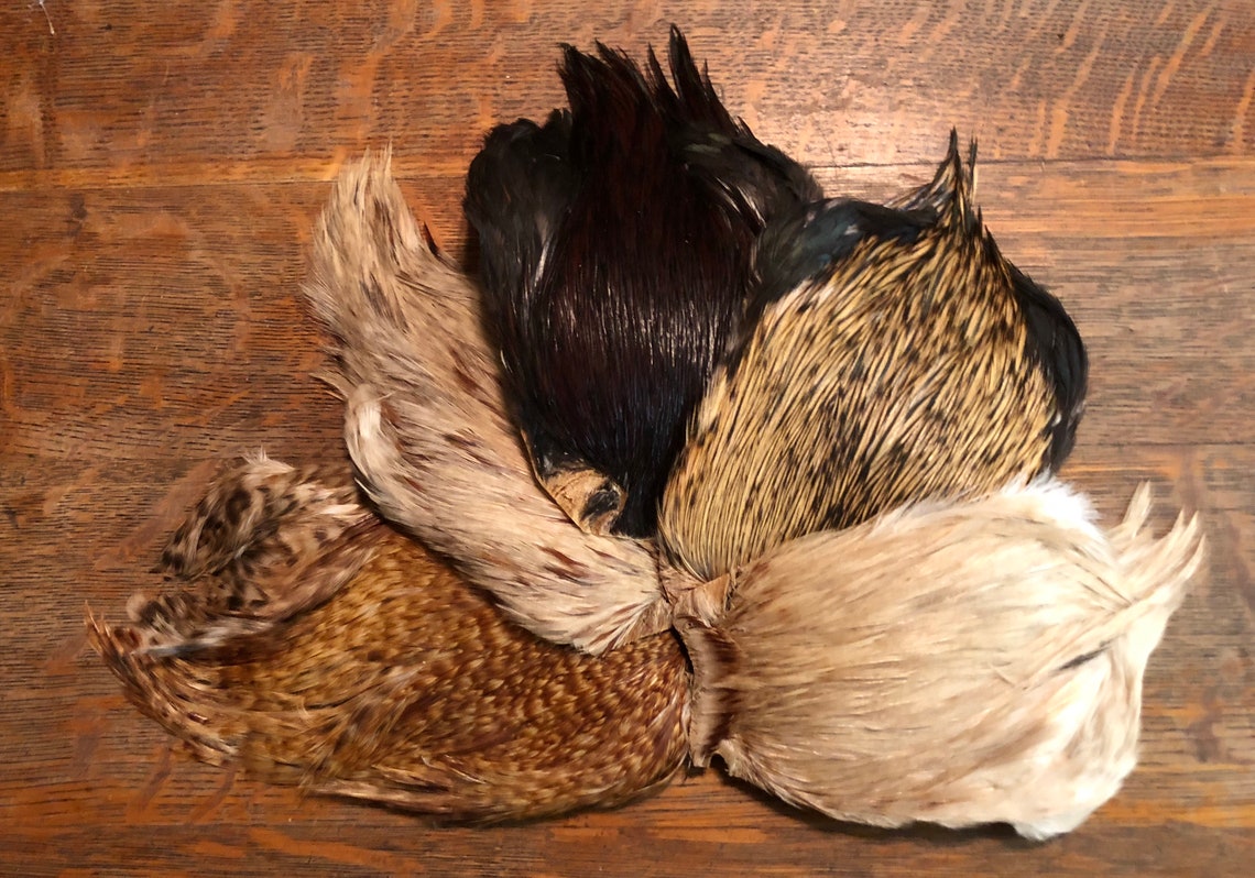 Indian Rooster Cape Assortment - Etsy Canada