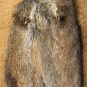 Tanned Muskrat Hide or Dubbing Patch - Etsy