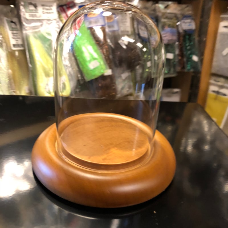 Glass Dome Display - Etsy