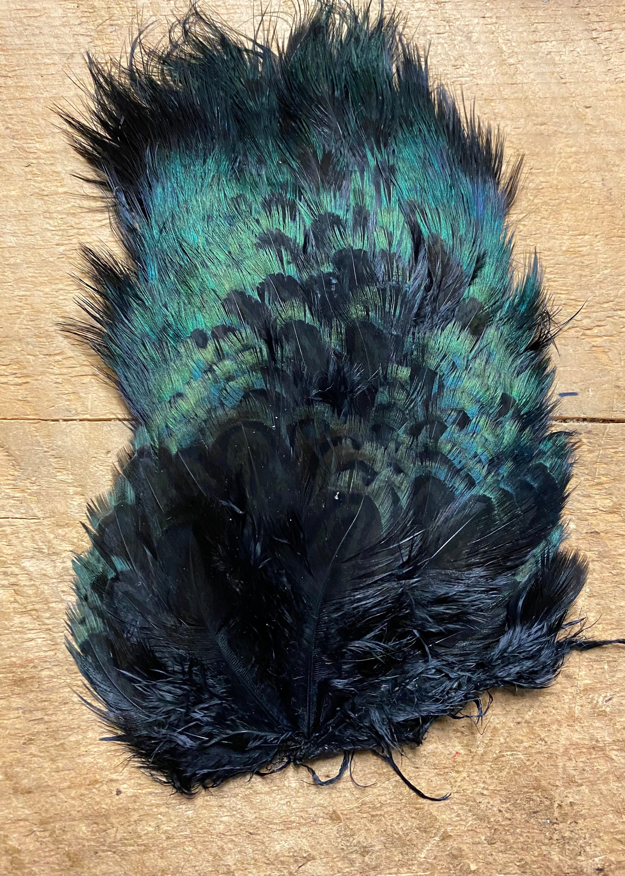 Pheasant Rump Patch: Church Pane Feathers Natural and Dyed | Etsy