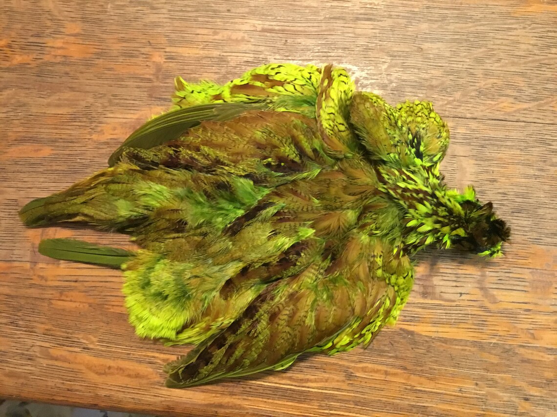 Dyed Mega Quail Skins - Etsy