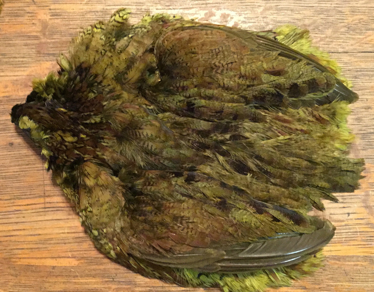 Dyed Mega Quail Skins - Etsy
