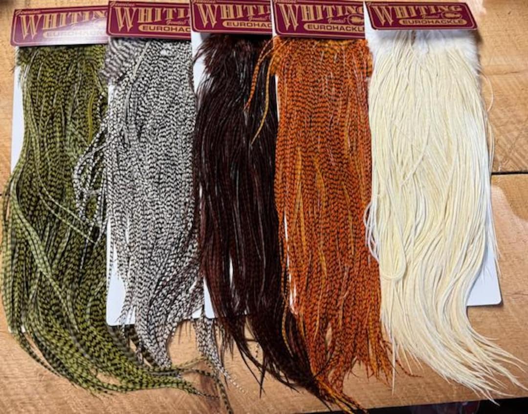Whiting Farms Euro Hackle ( 16" Grizzly Hackle, AKA Flat Wing Hackle ...