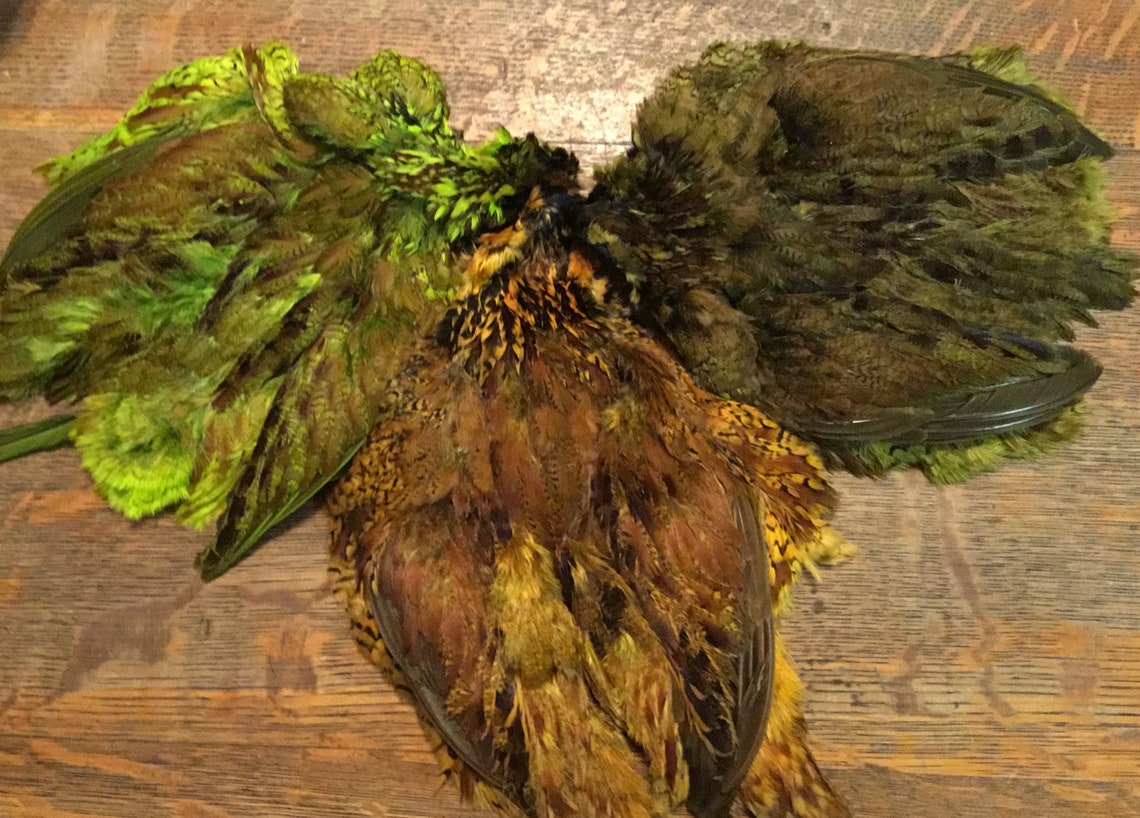 Dyed Mega Quail Skins - Etsy